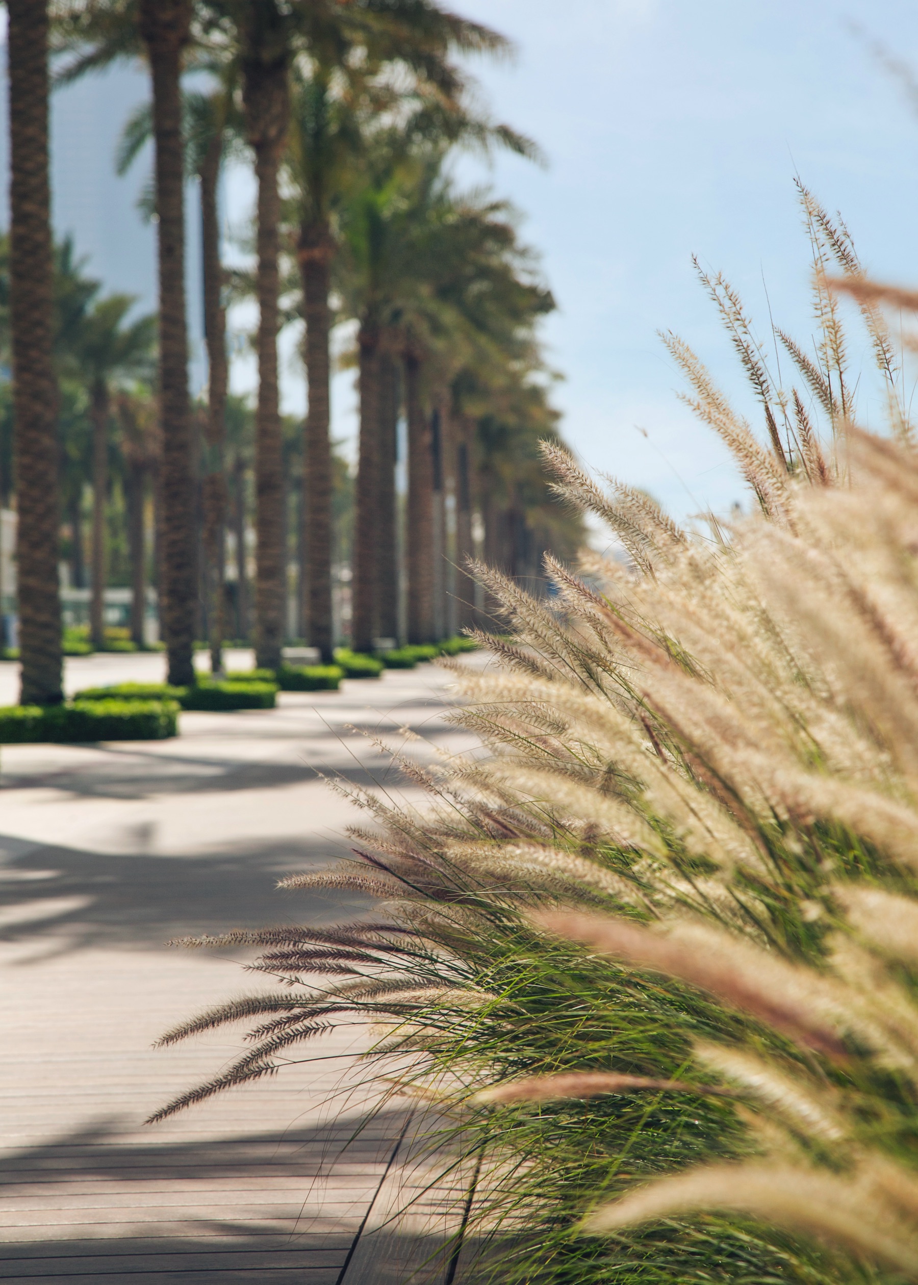 PWB – Urban Landscape